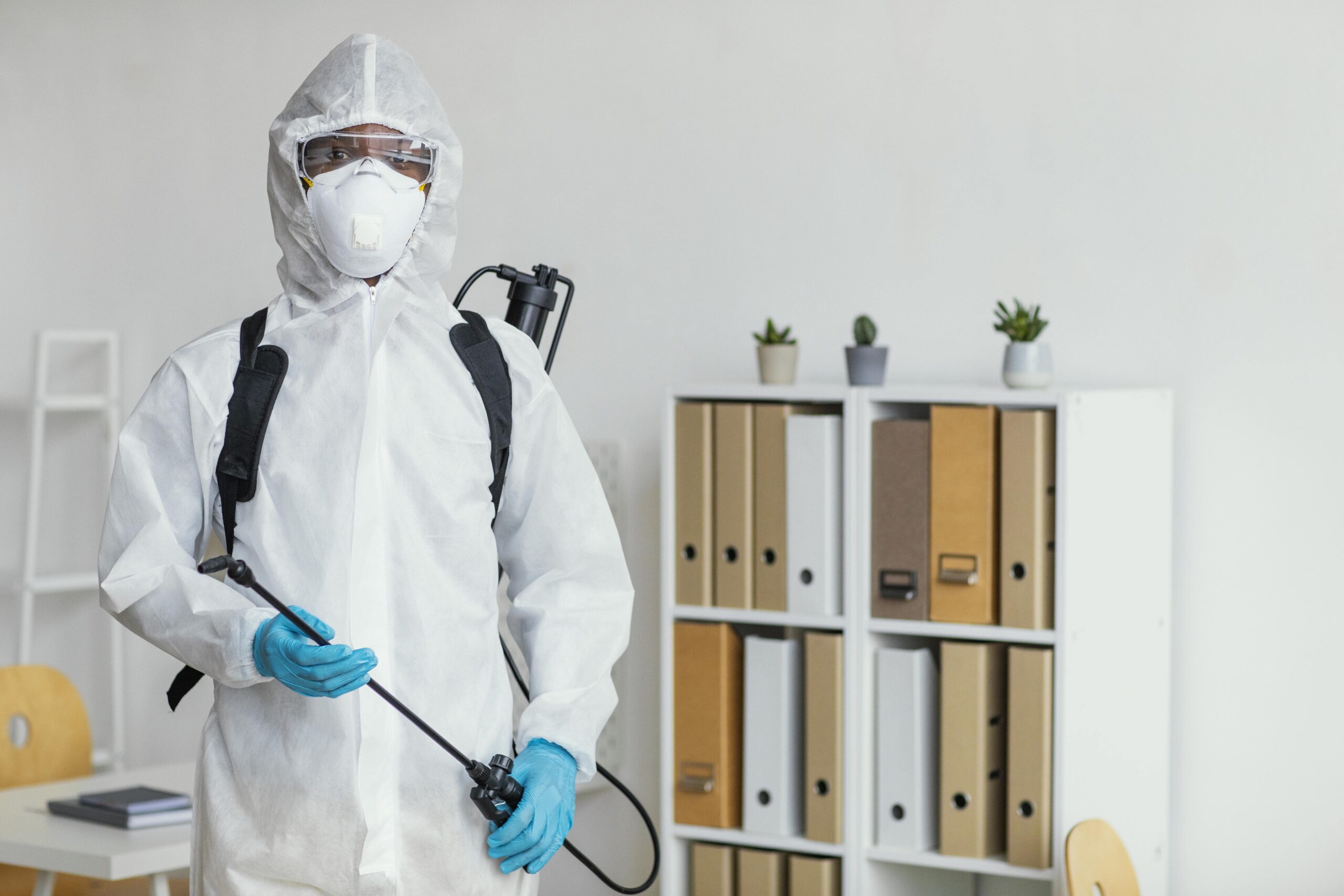 Termites - Rapid Pest Solution